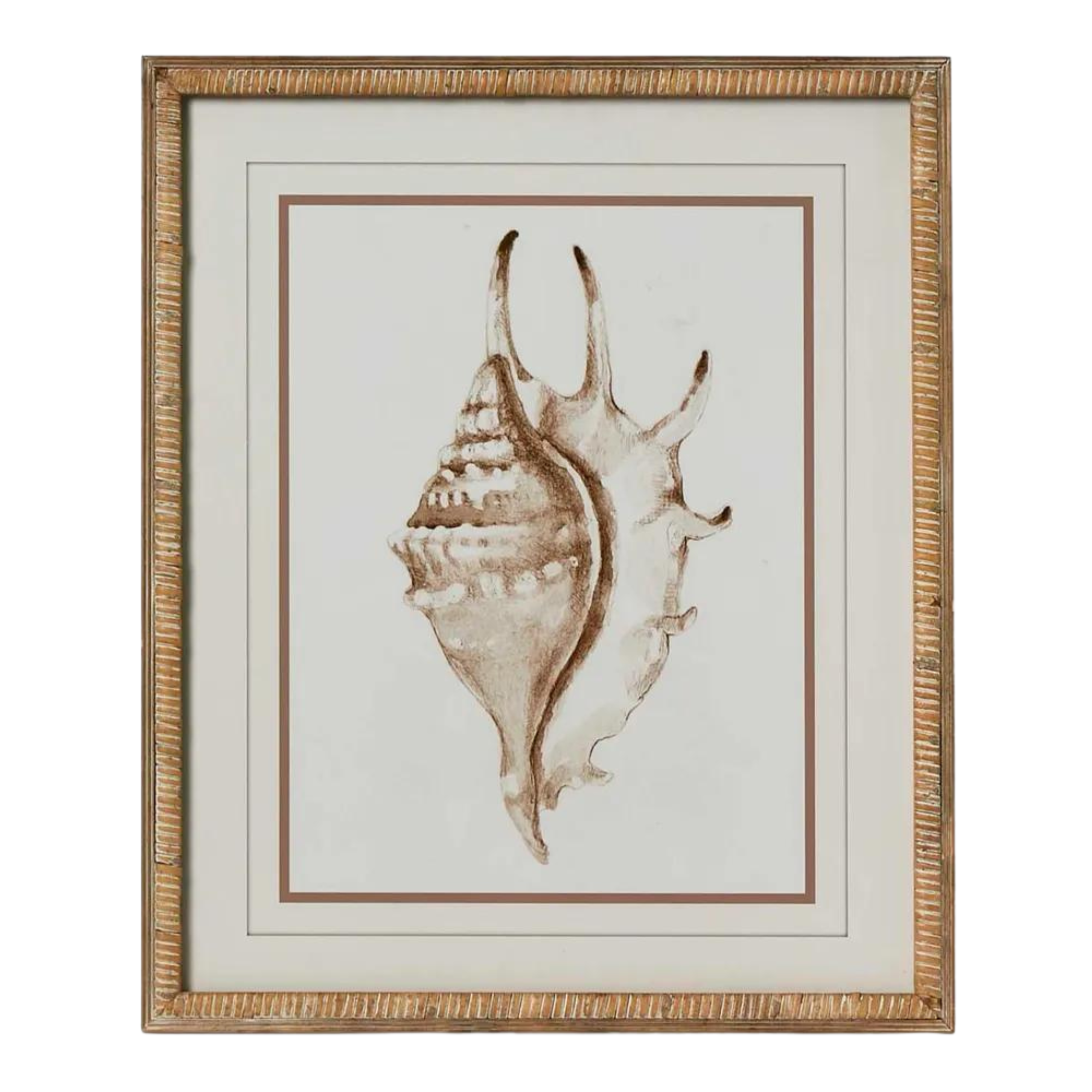 Conch Shell Wall Art B – OneWorld Collection