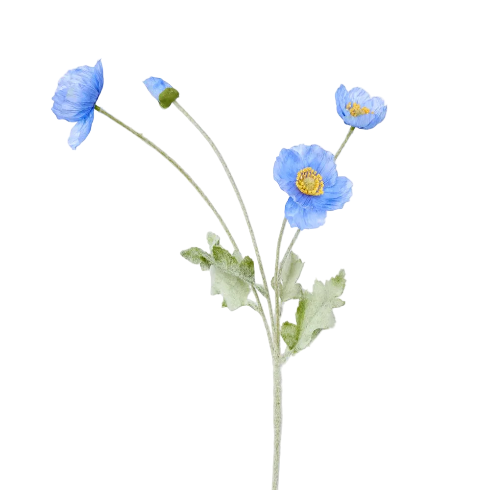 Poppy Spray Blue – OneWorld Collection