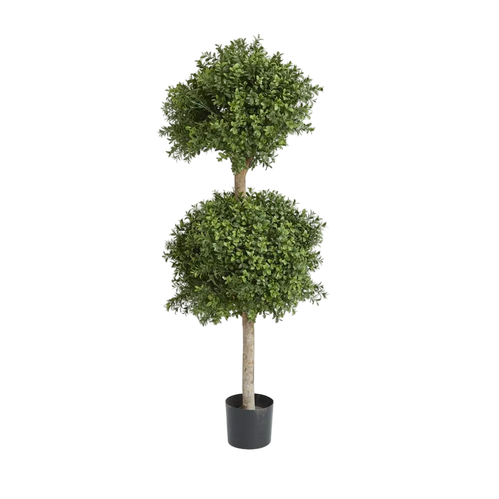 Boxwood Double Ball Tree 1.1m – OneWorld Collection